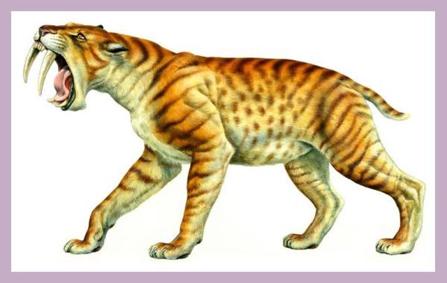 The Evolution of Leopards timeline | Timetoast timelines