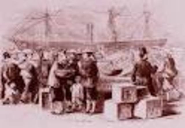 Immigration in 1880s to present timeline | Timetoast timelines