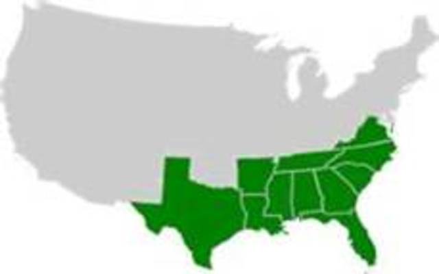 Texas Milestones timeline | Timetoast timelines