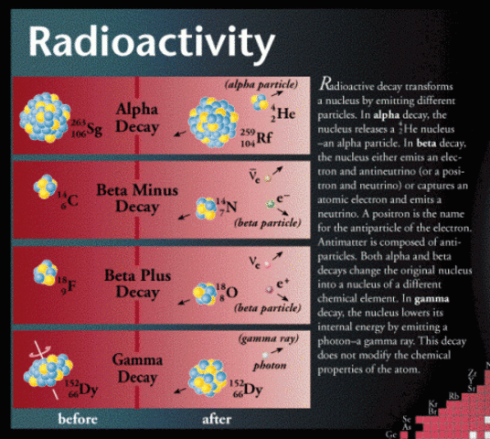 Atomic Picture Timeline | Timetoast timelines