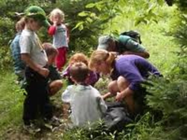 Nature walk timeline | Timetoast timelines