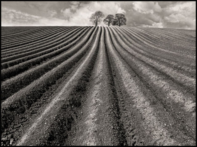 Post Classical Chinese Timeline | Timetoast timelines