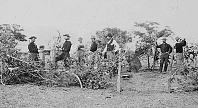 Chapter 13 Timeline-Clash of Cultures | Timetoast timelines