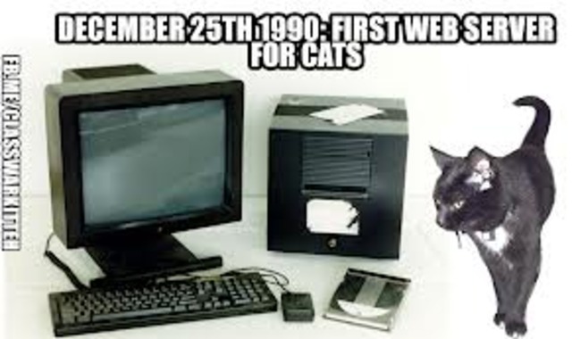 Development of the World Wide Web timeline | Timetoast timelines