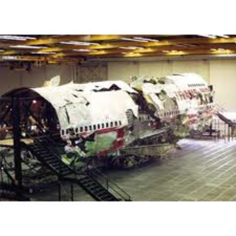 Sabrina Cornejo's Timeline | Timetoast timelines