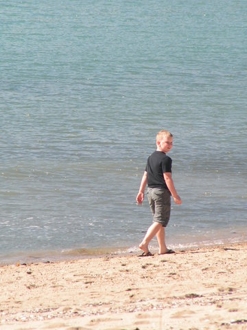 Ethan Hocking timeline | Timetoast timelines