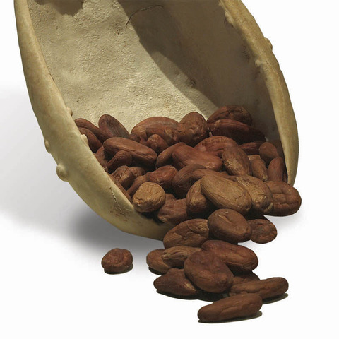 History of Chocolate timeline | Timetoast timelines