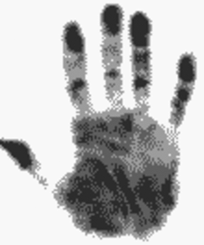 world war 1 timeline | Timetoast timelines