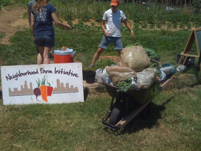 DC Gardeners Oral History Project timeline | Timetoast timelines