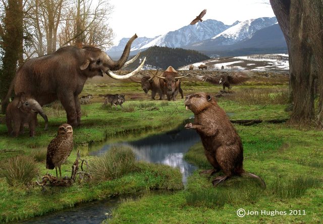 Earth Geological Time Periods timeline | Timetoast timelines