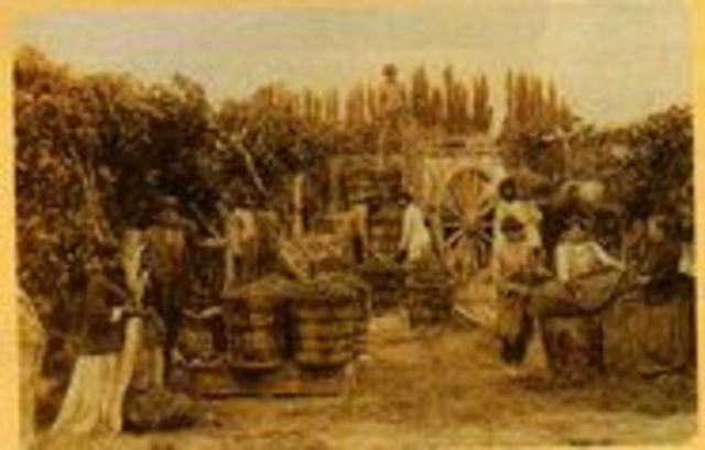 La Argentina entre 1850 y 1880 timeline | Timetoast timelines