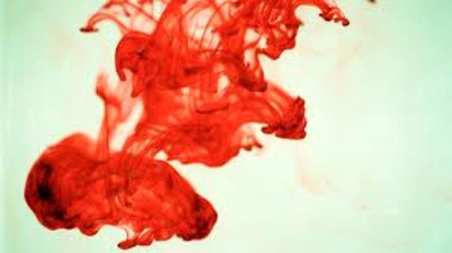 Best of the Decades 1950's-2000's timeline | Timetoast timelines