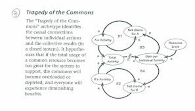 environmental science timeline | Timetoast timelines