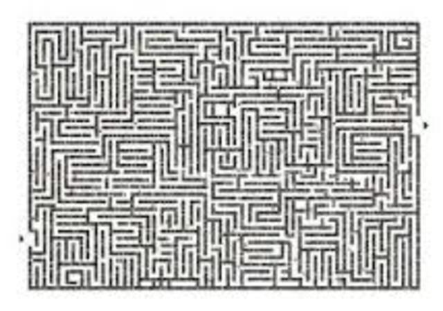 The Maze Runner Glade Map
