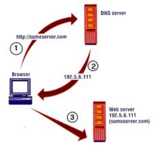 Max Milano's History of the Internet Timeline | Timetoast timelines