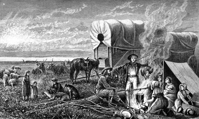 My Immigration Story timeline | Timetoast timelines