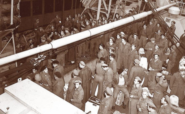 polish immigration timeline | Timetoast timelines