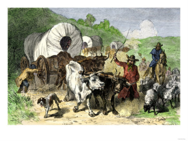 Immigration Westward Expansion timeline | Timetoast timelines