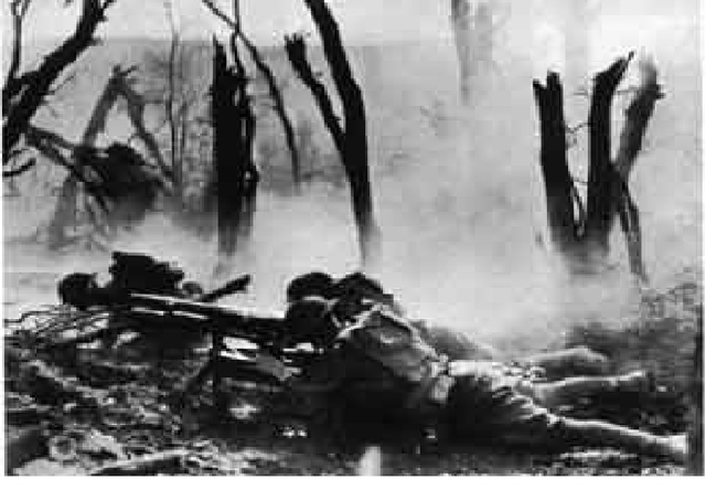 The History of World War 1 timeline | Timetoast timelines