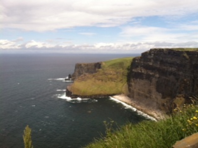 Adam Bolger timeline | Timetoast timelines