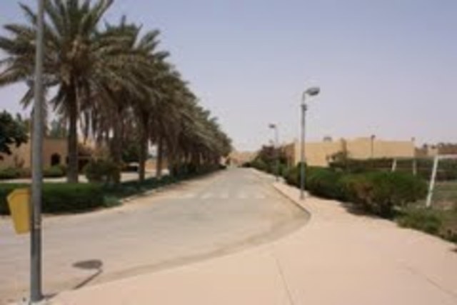 My social studies project timeline | Timetoast timelines