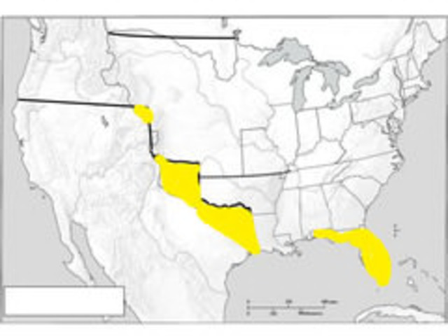 Westward expantion/ manifes destiny time line project timeline | Timet