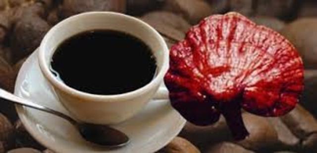 CAFE ORGANICO MEDICINAL timeline | Timetoast timelines