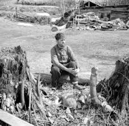 overview- timeline task | Timetoast timelines