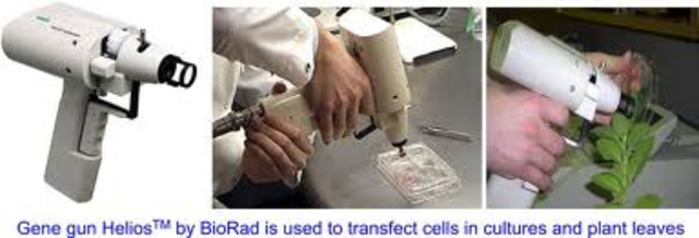 New tools in the lab timeline | Timetoast timelines