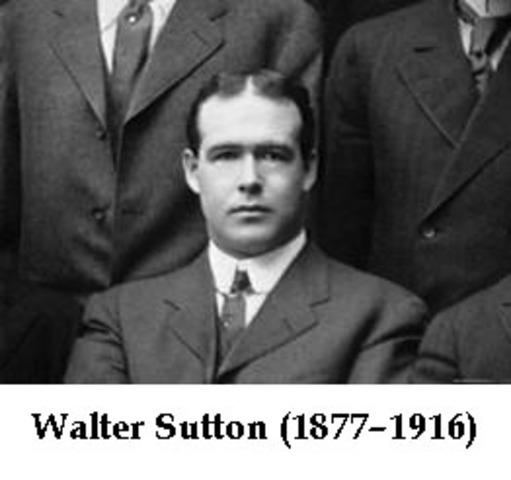 Acontecimientos Principales del DNA timeline | Timetoast timelines