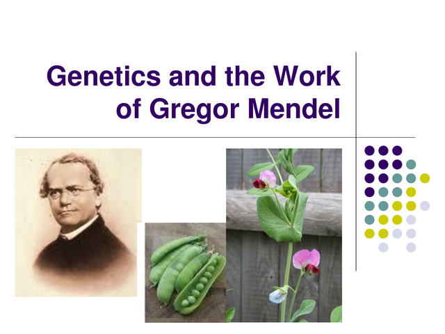 Discoveries of DNA structure, Chromosome Theory and Inheritance of
