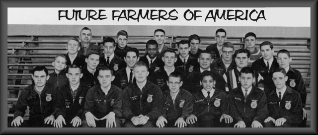 History of the FFA timeline | Timetoast timelines