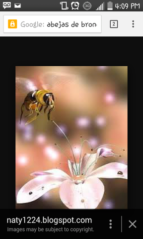 Literatura latinoamerica de verano timeline | Timetoast timelines