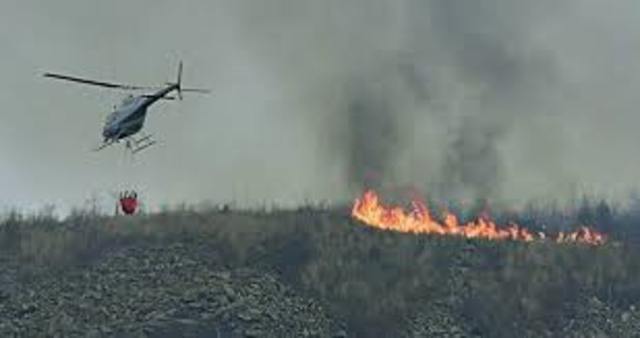 Lord of the flies timeline | Timetoast timelines