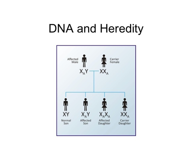 Biotechnology Timeline, Nika and Michael p3 | Timetoast timelines