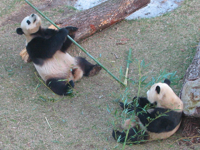 History of Madagascar timeline | Timetoast timelines