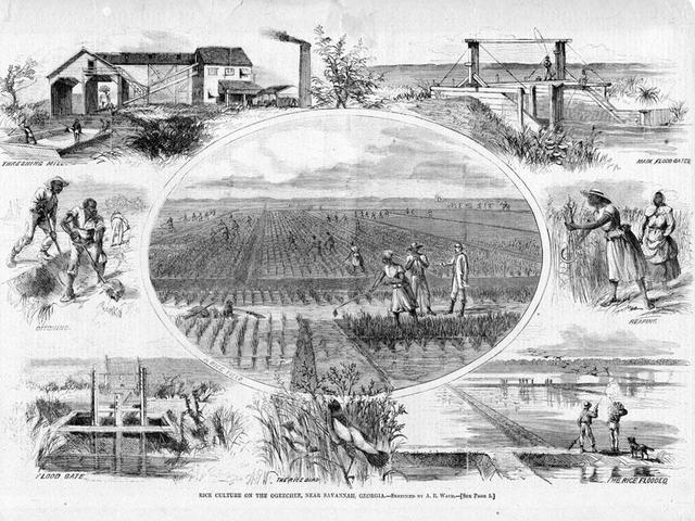 Georgia History timeline | Timetoast timelines