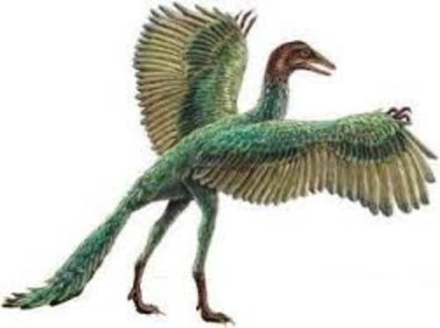 Geologic Time timeline | Timetoast timelines