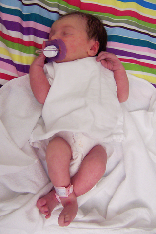 Jazarah may's time line timeline | Timetoast timelines