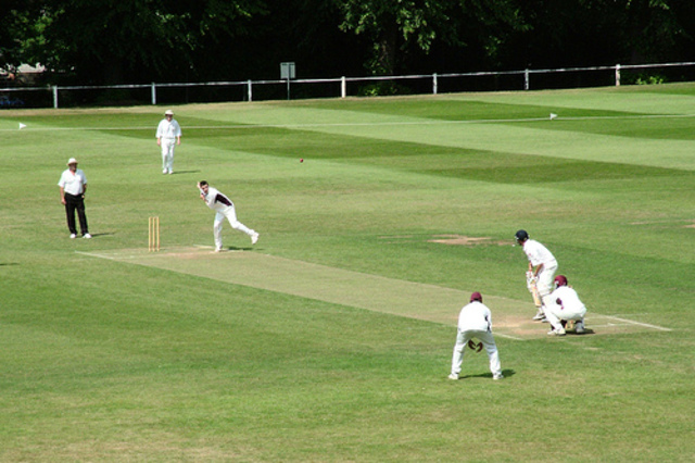 The history of cricket in Greece (Source: AHCF, SBS World Guide)