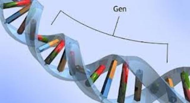 LA HISTORIA DEL DNA timeline | Timetoast timelines
