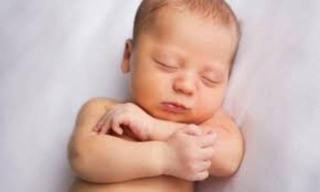 Fetal Development timeline | Timetoast timelines