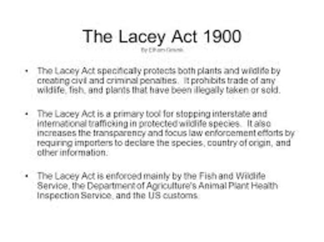 Ferel hogs timeline | Timetoast timelines