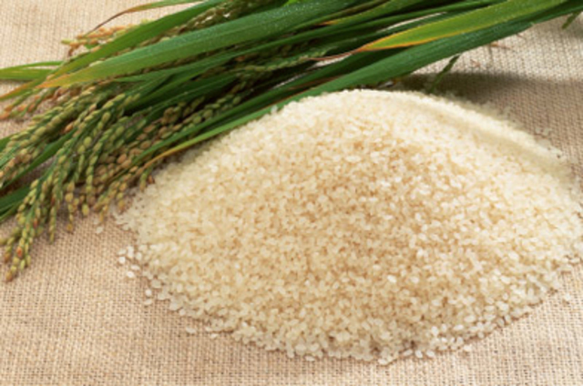 The History of Rice 2800 B.C.-Present timeline | Timetoast timelines