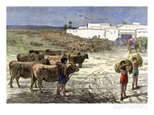 Janaya Rose timeline | Timetoast timelines