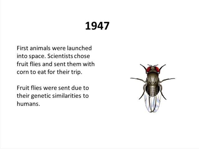 Space Exploration timeline | Timetoast timelines
