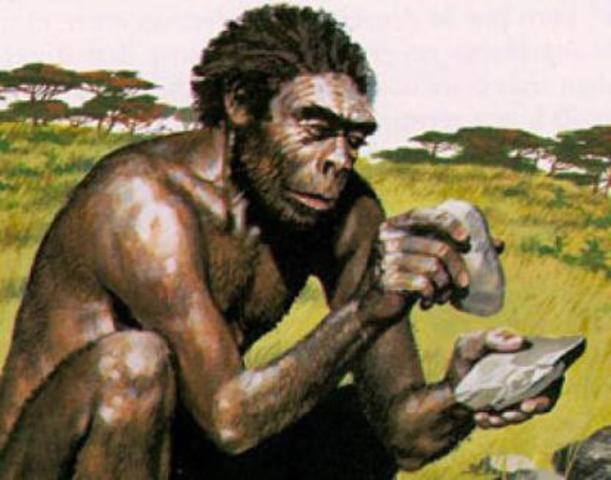 La prehistoria timeline | Timetoast timelines