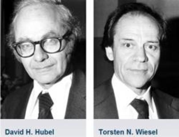 Evolución del sistema nervioso timeline | Timetoast timelines