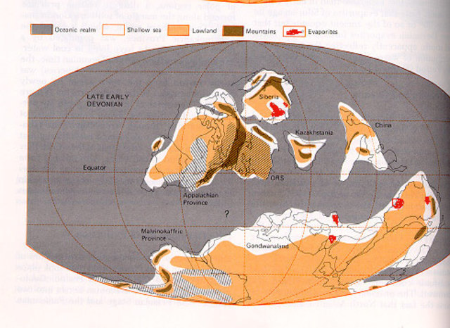 Mass Extinctions timeline | Timetoast timelines