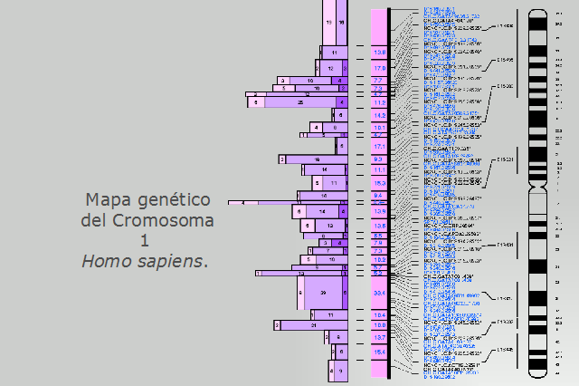 AVANCES GENÉTICOS timeline | Timetoast timelines